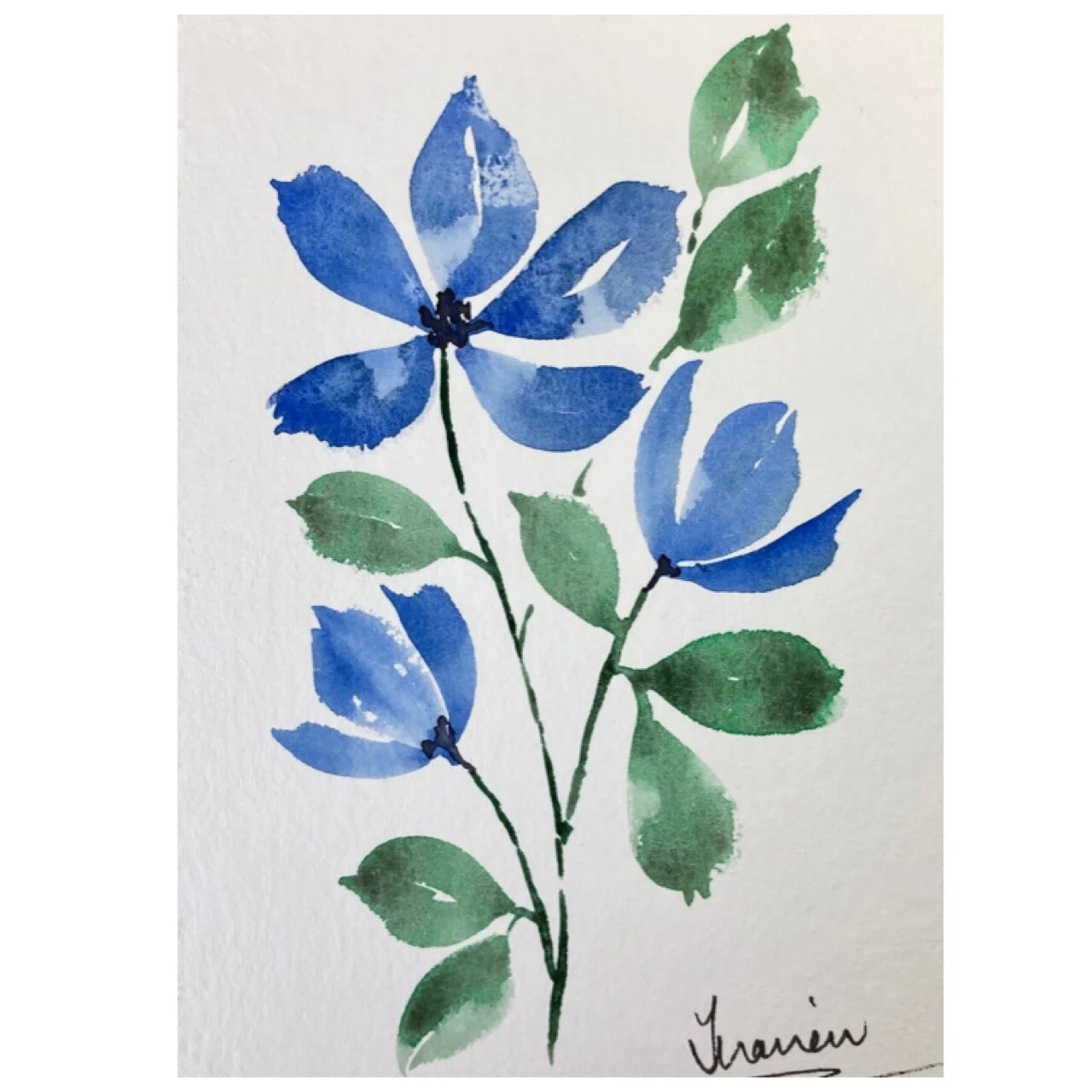 Classic Collection — Tharien's Art