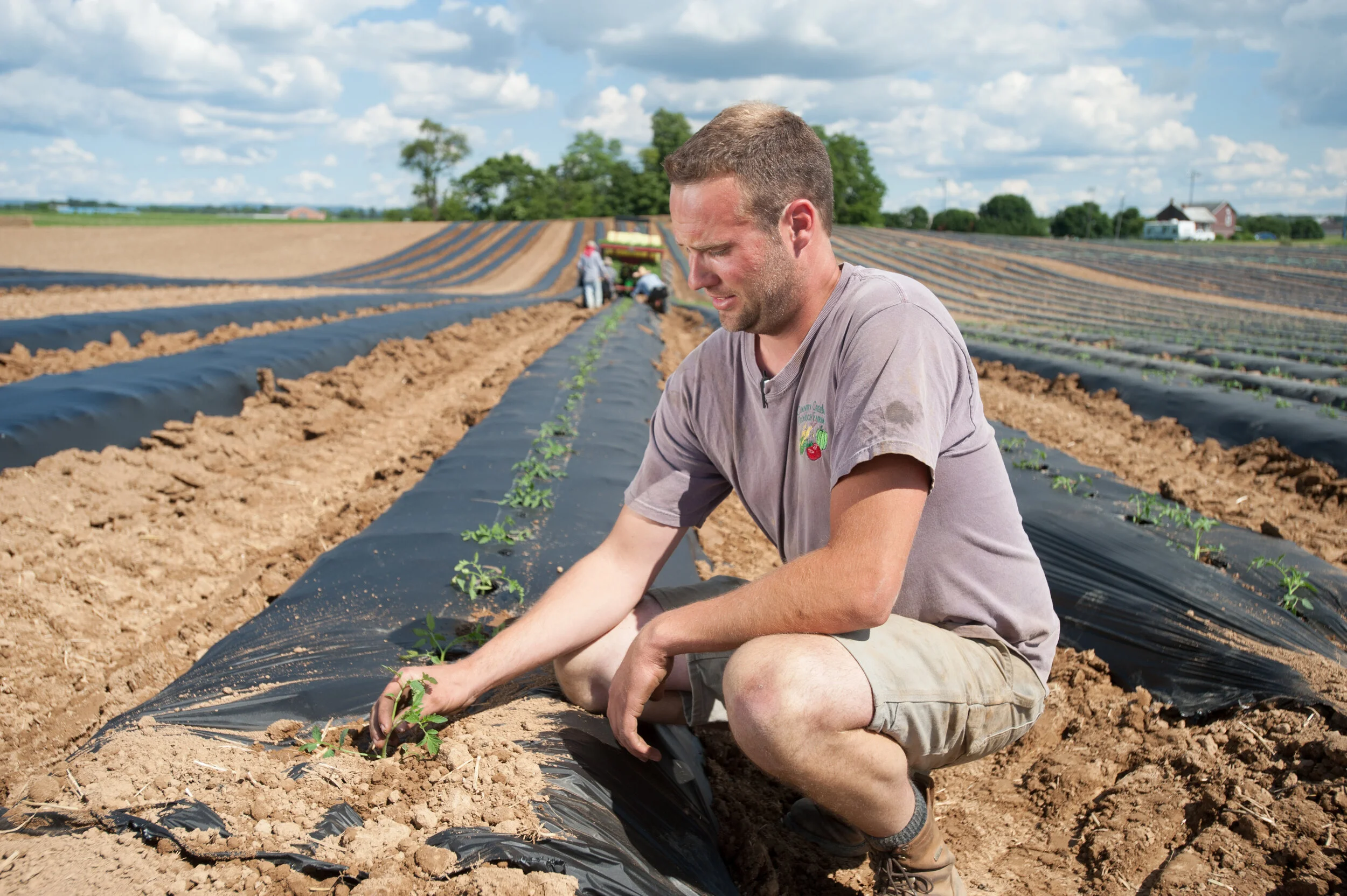 Country Creek Produce Farm