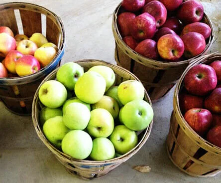 Country Creek Produce Farm