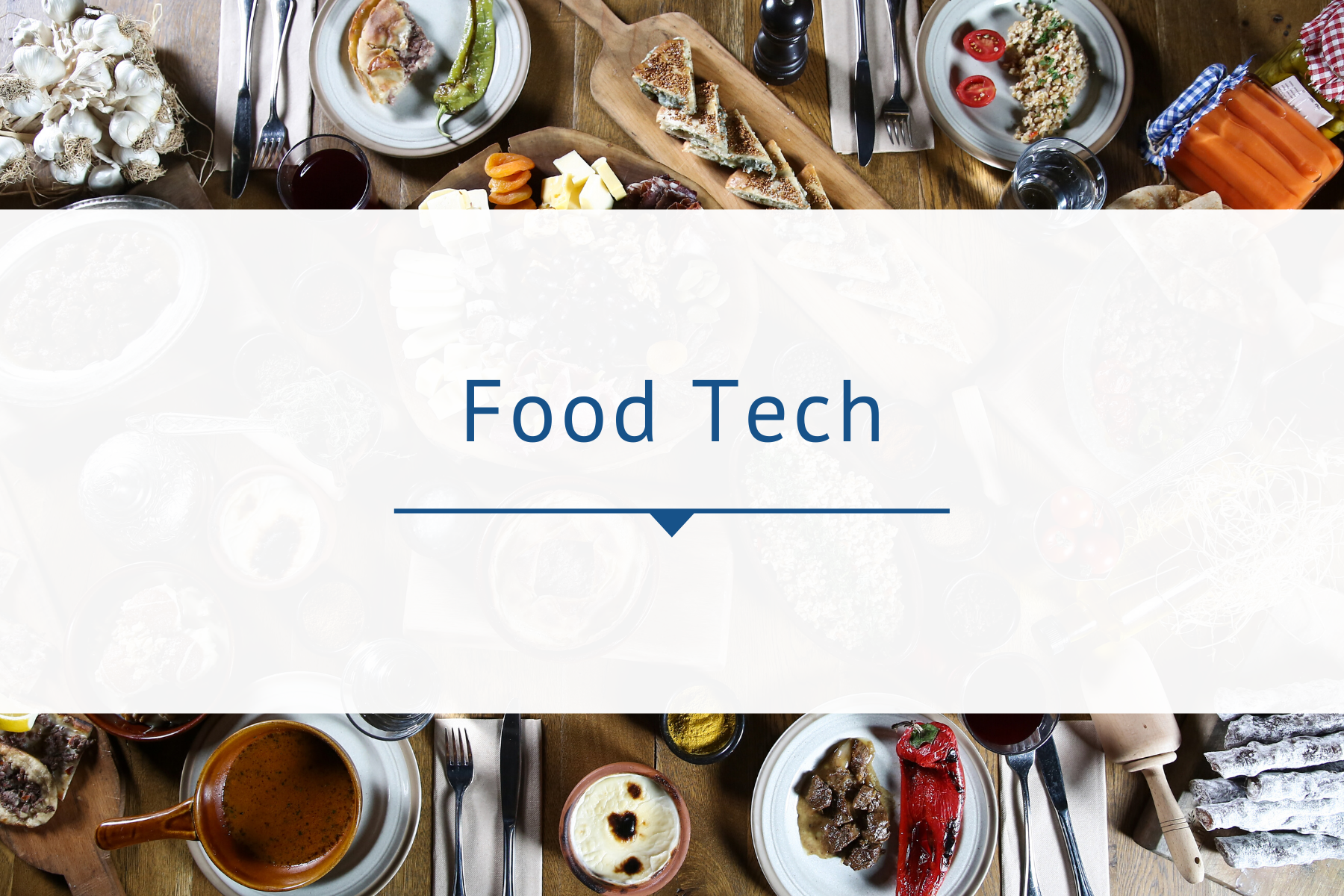 Overview — Better Food Ventures