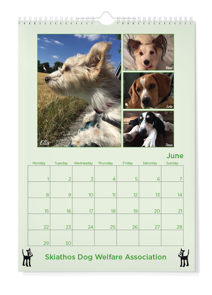 Calendar inspiration — createcalendars