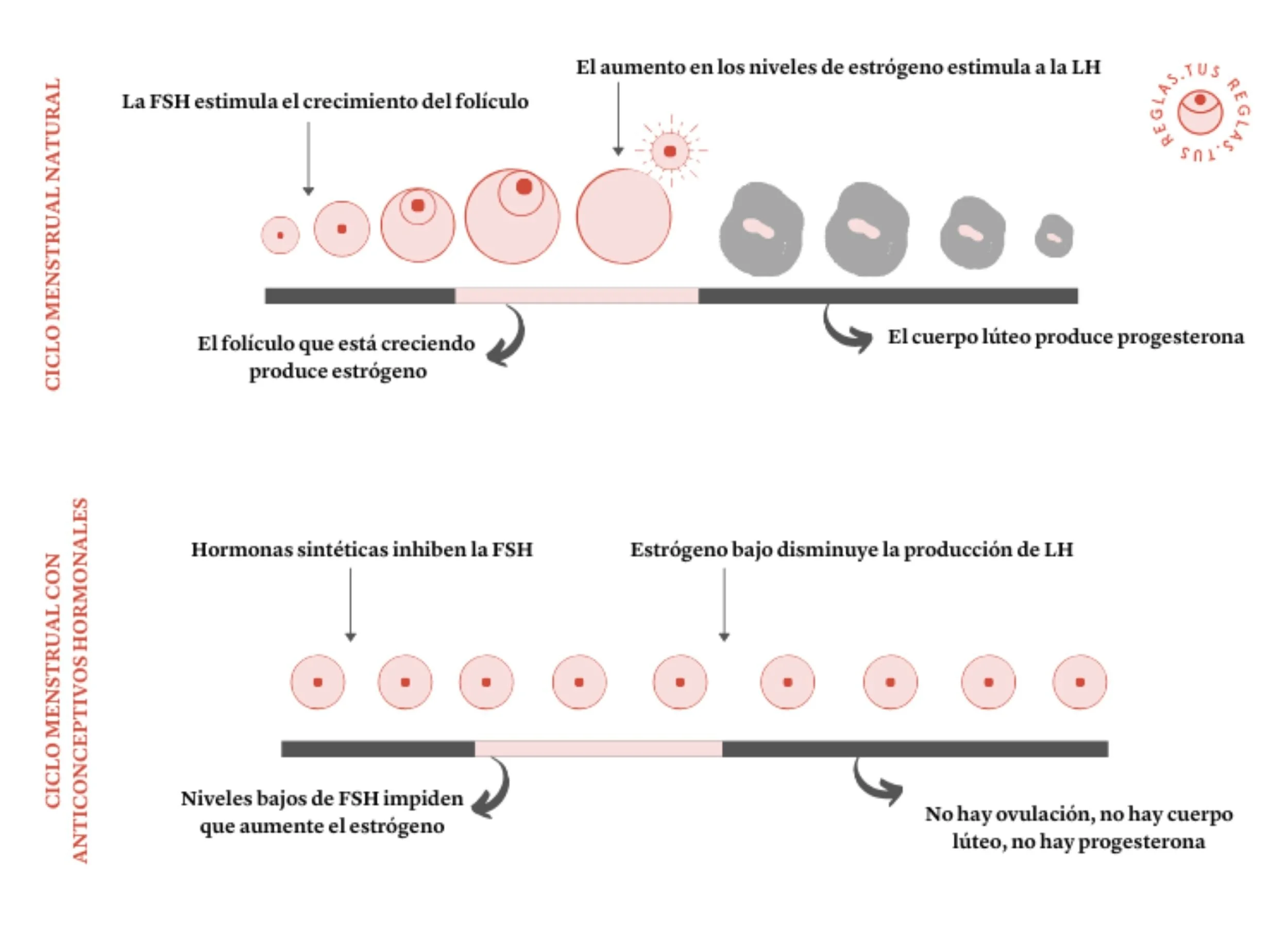 ¿Sabes cómo funciona tu método anticonceptivo? — Tus Reglas