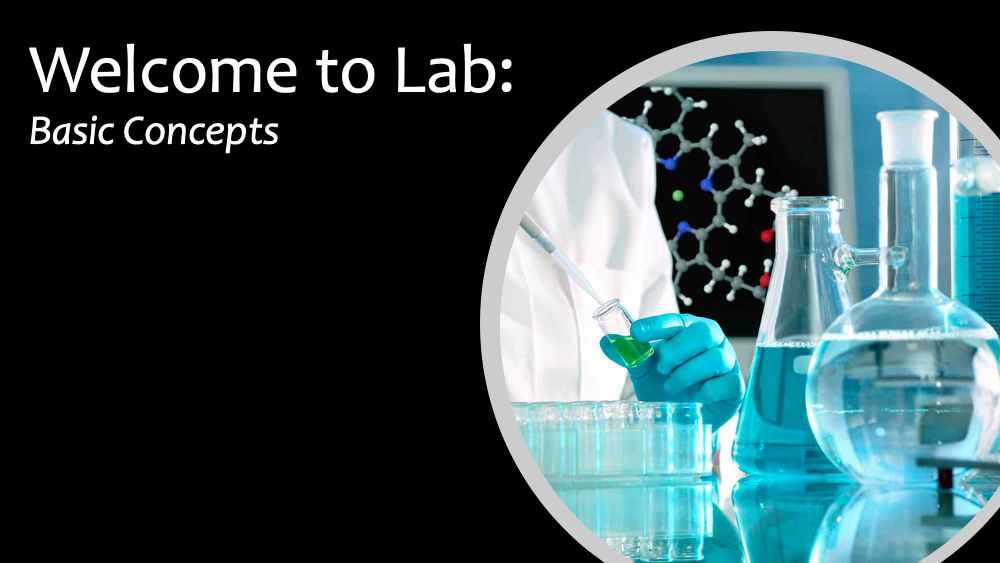 Learn: Protocols & Videos - Ahmed Lab: Feinberg School of Medicine ...