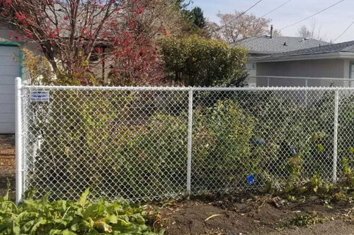 #1 Chain Link Fencing | Edmonton Alberta's Best Fence Company