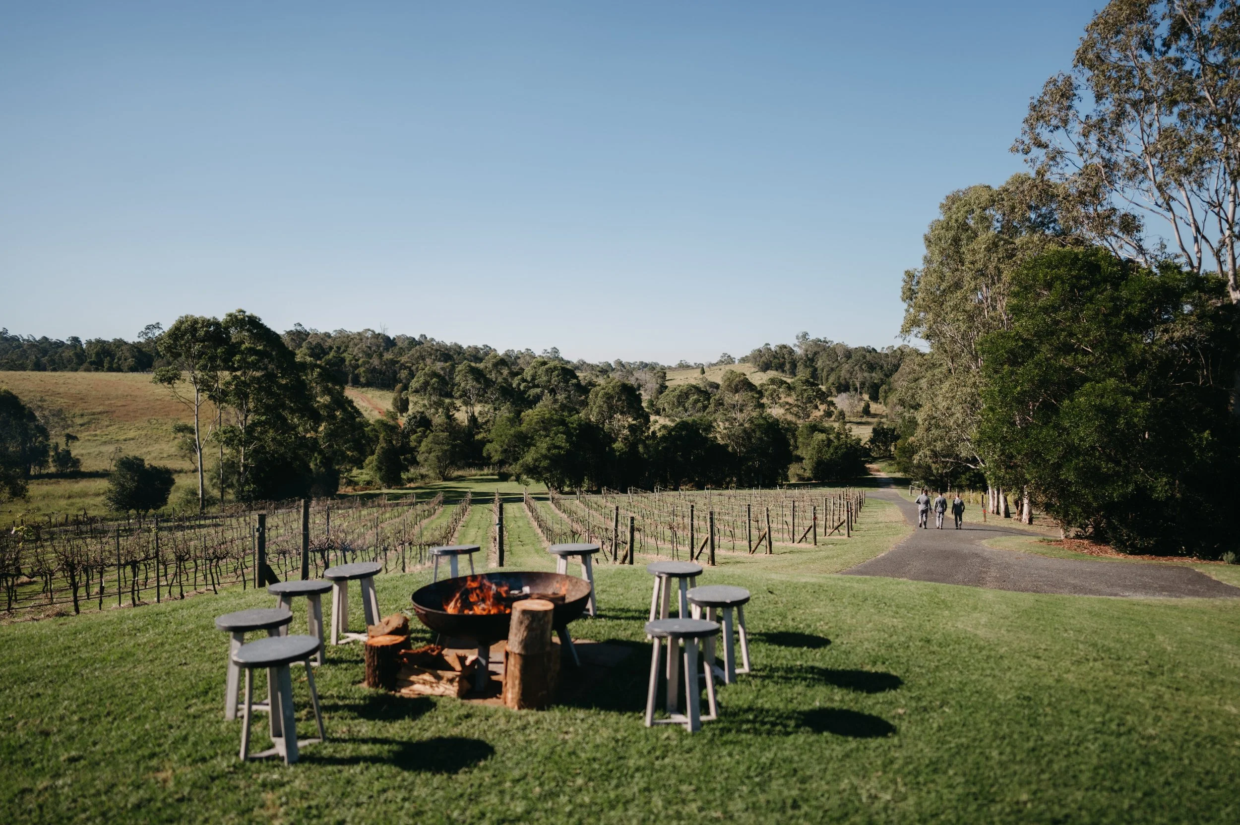 Experience — Brisbane Winery, Restaurant and Vineyard - Ocean View Estates