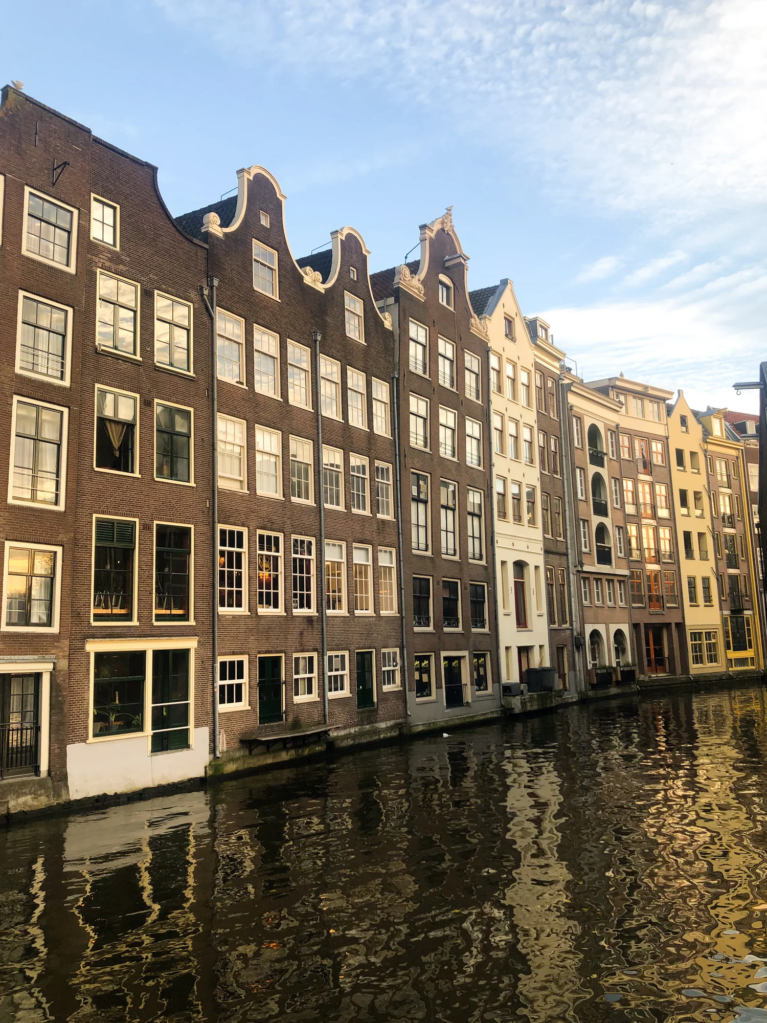 Whit in Amsterdam — Whit Around the World