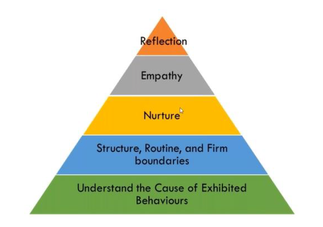 Therapeutic Parenting — Continuum Consulting