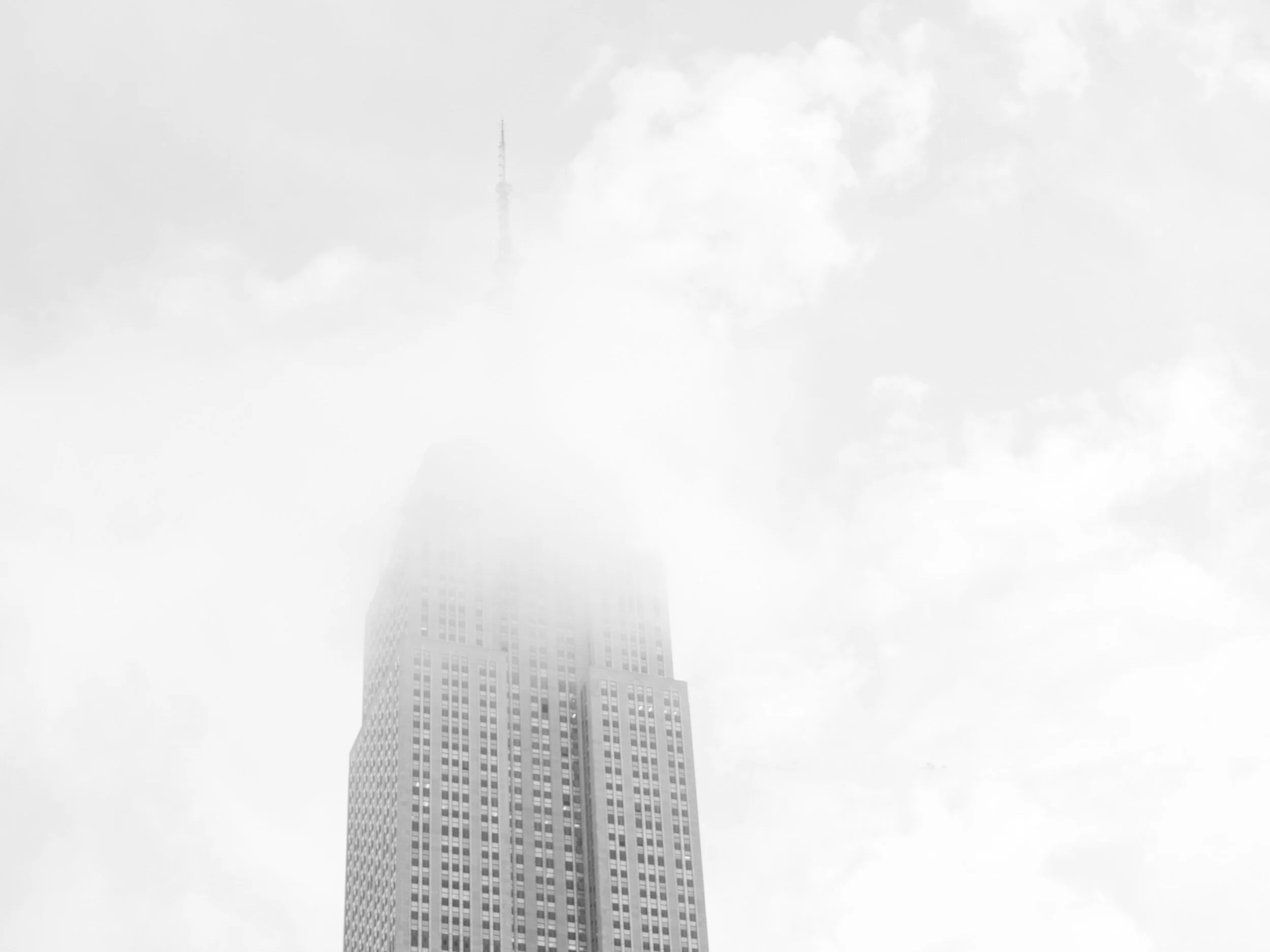 Squivr Salesforce Org Chart — Squivr