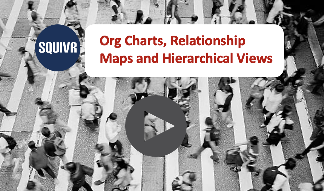 Salesforce Org Chart Salesforce Account Planning and Opportunity Playbook — Squivr