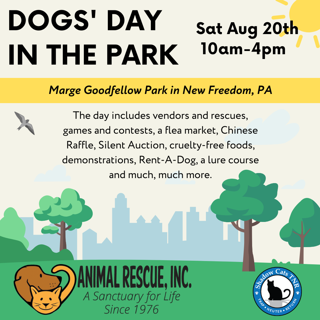 Dog's Days in the Park — Shadow Cats TNR
