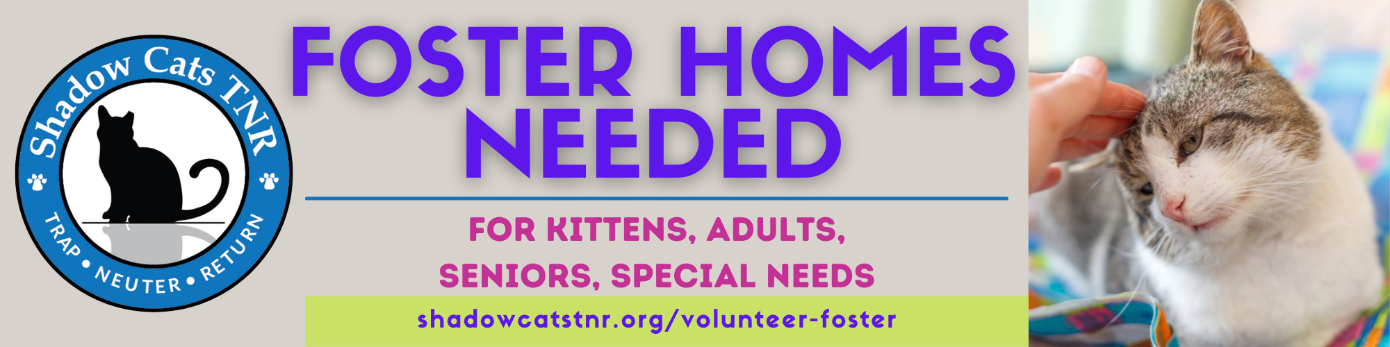 Shadow Cats TNR is a cat rescue and TNR organization offering access to ...