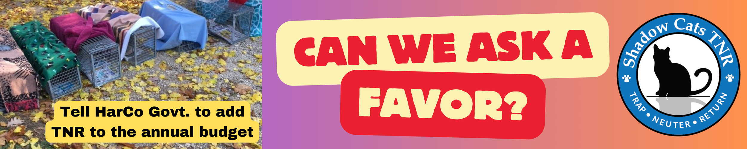 Shadow Cats TNR is a cat rescue and TNR organization offering access to ...