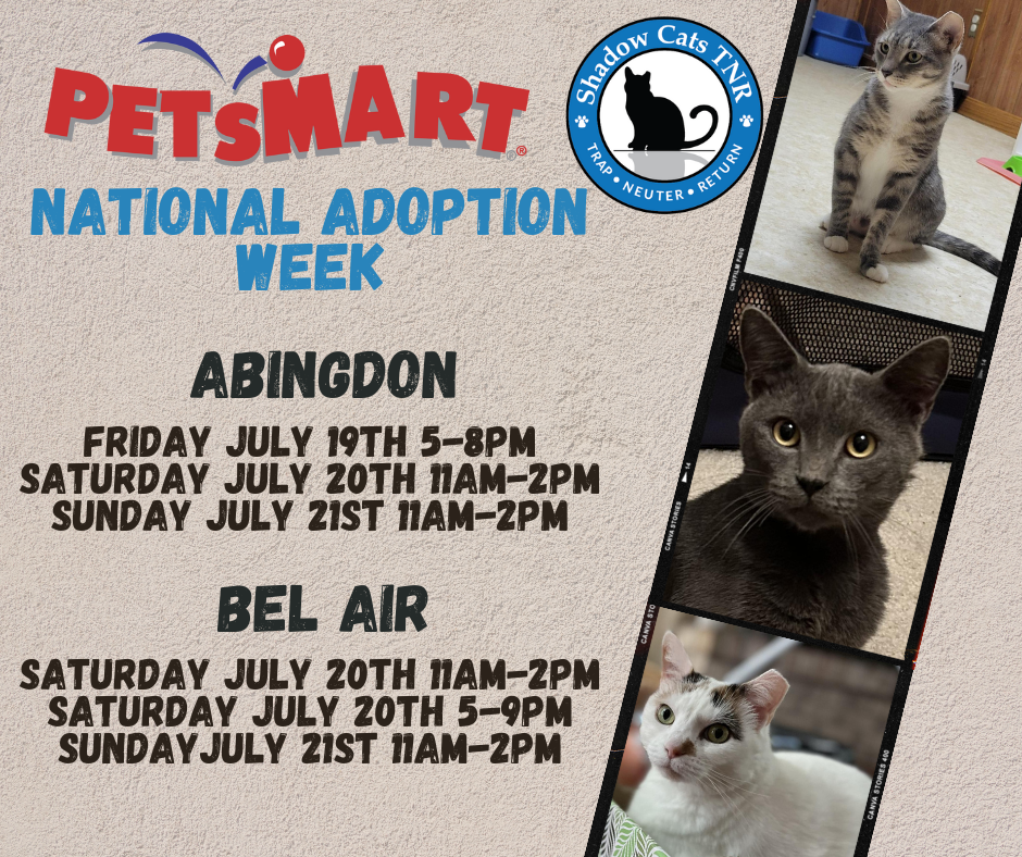Events — Shadow Cats TNR