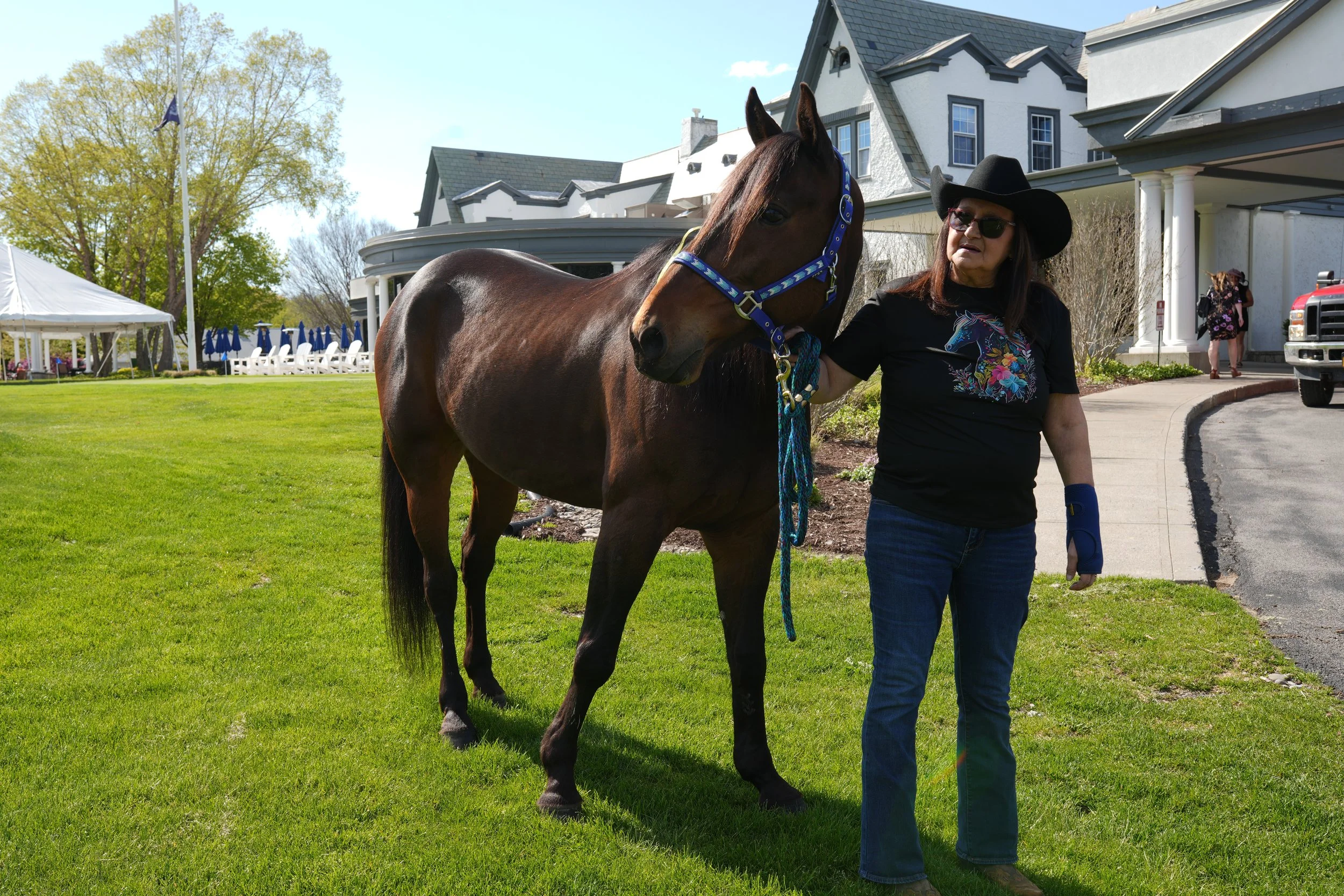 Gallery 3 — Sunshine Horses