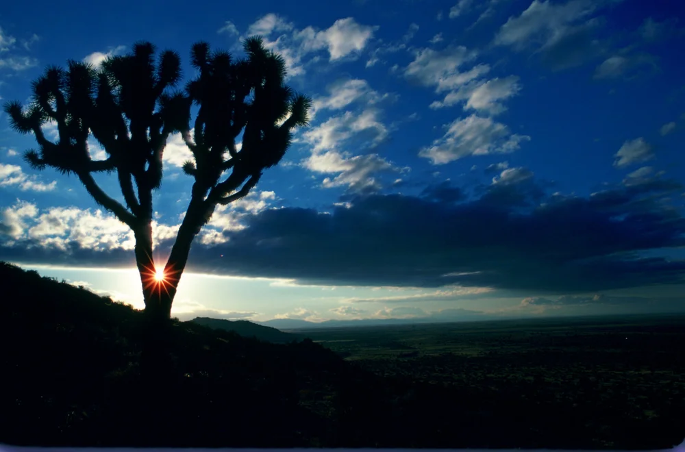 George Anderson Fine Art Nature Photography