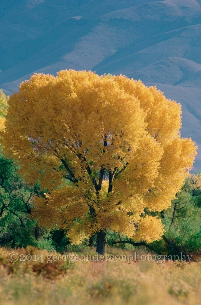 First Day of Fall - Happy Equinox — George Anderson Fine Art Nature ...