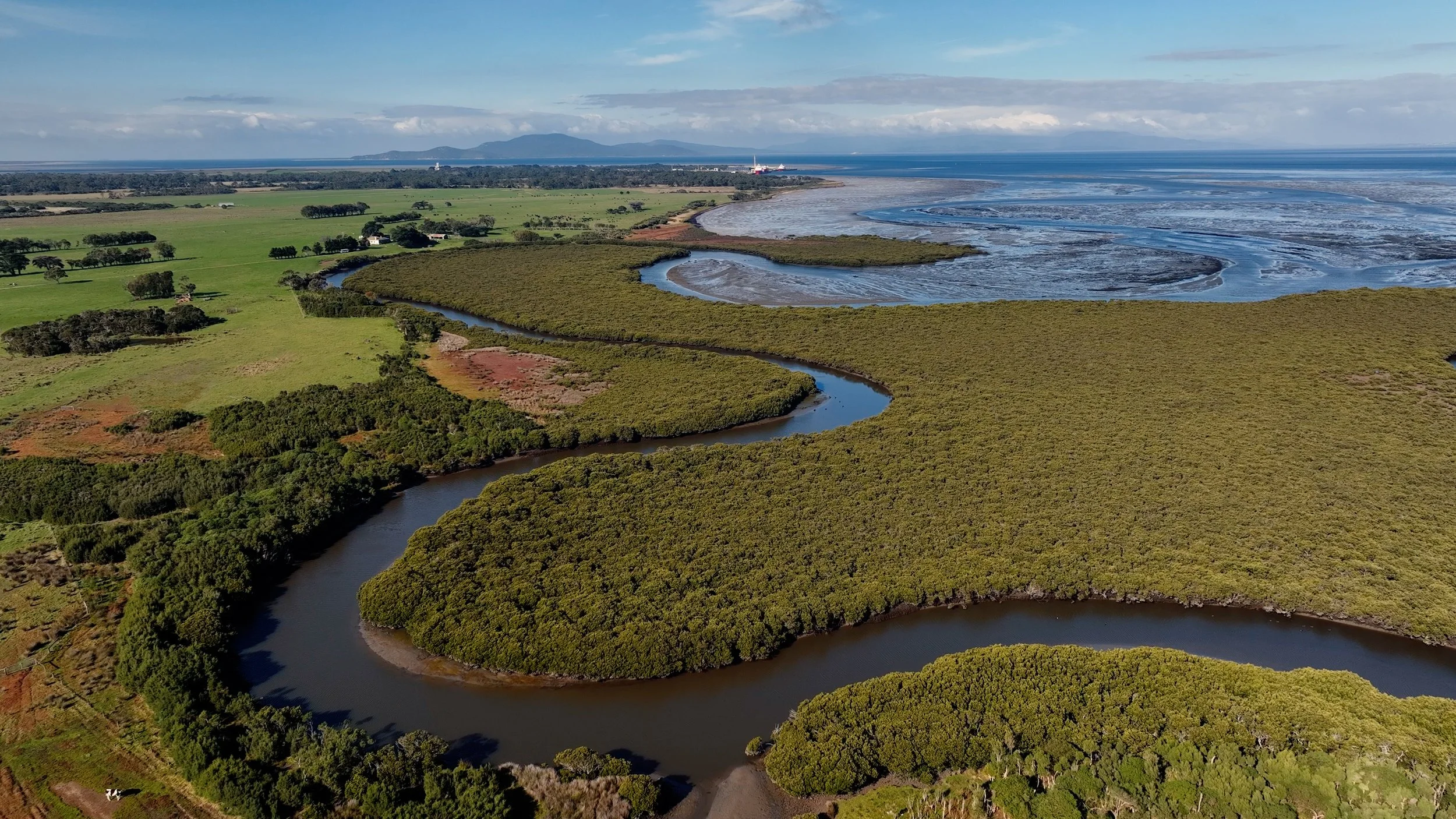 Project update - February 2025 — Star of the South