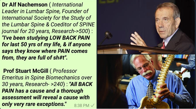 The Myth of Core Stability & Low Back Pain — yogicphysio.com