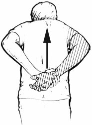Shoulder Stretching — David R. McAllister MD