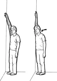 Shoulder Stretching — David R. McAllister MD