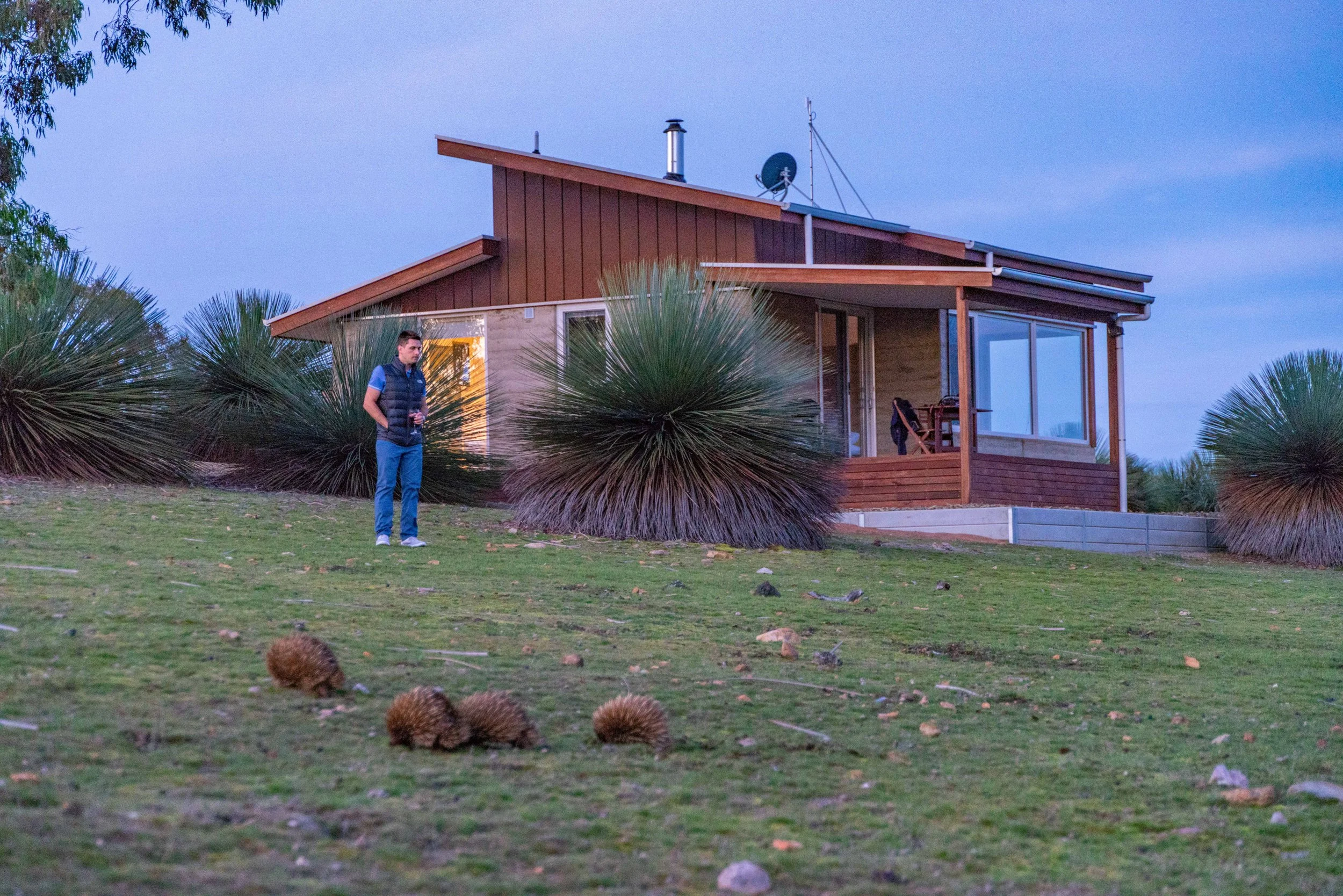 Ballara Art & Lifestyle Retreat (Warooka, SA) — Stay in the Bush