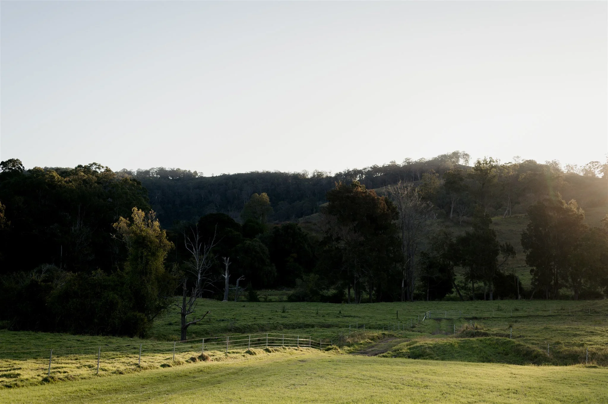 Wallaringa Farm (Wallaringa, NSW) — Stay in the Bush