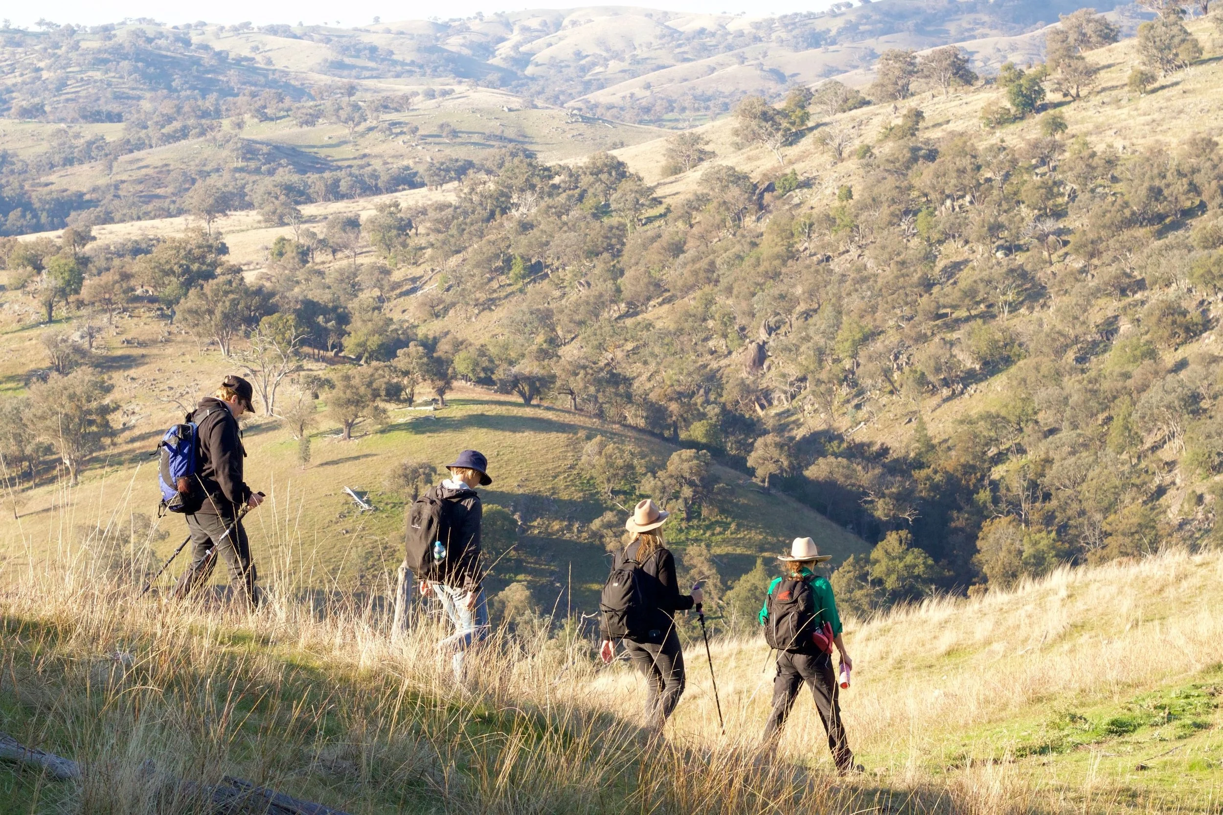 Rove Numby - Hosted Walking Weekends in Rural NSW — Stay in the Bush