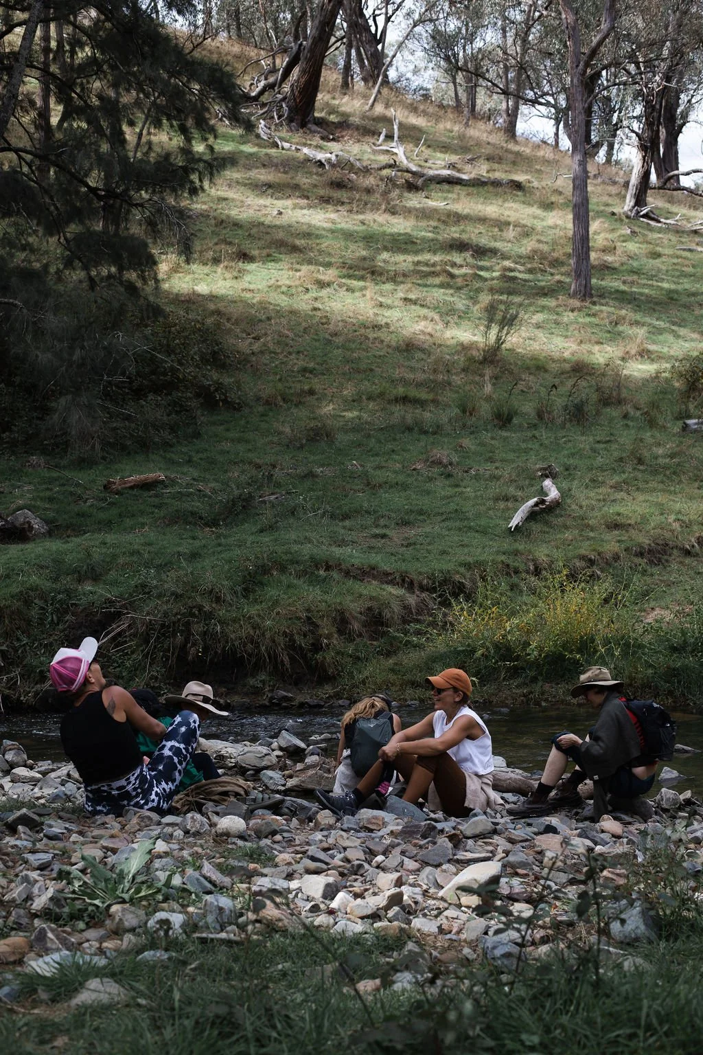Rove Numby - Hosted Walking Weekends in Rural NSW — Stay in the Bush