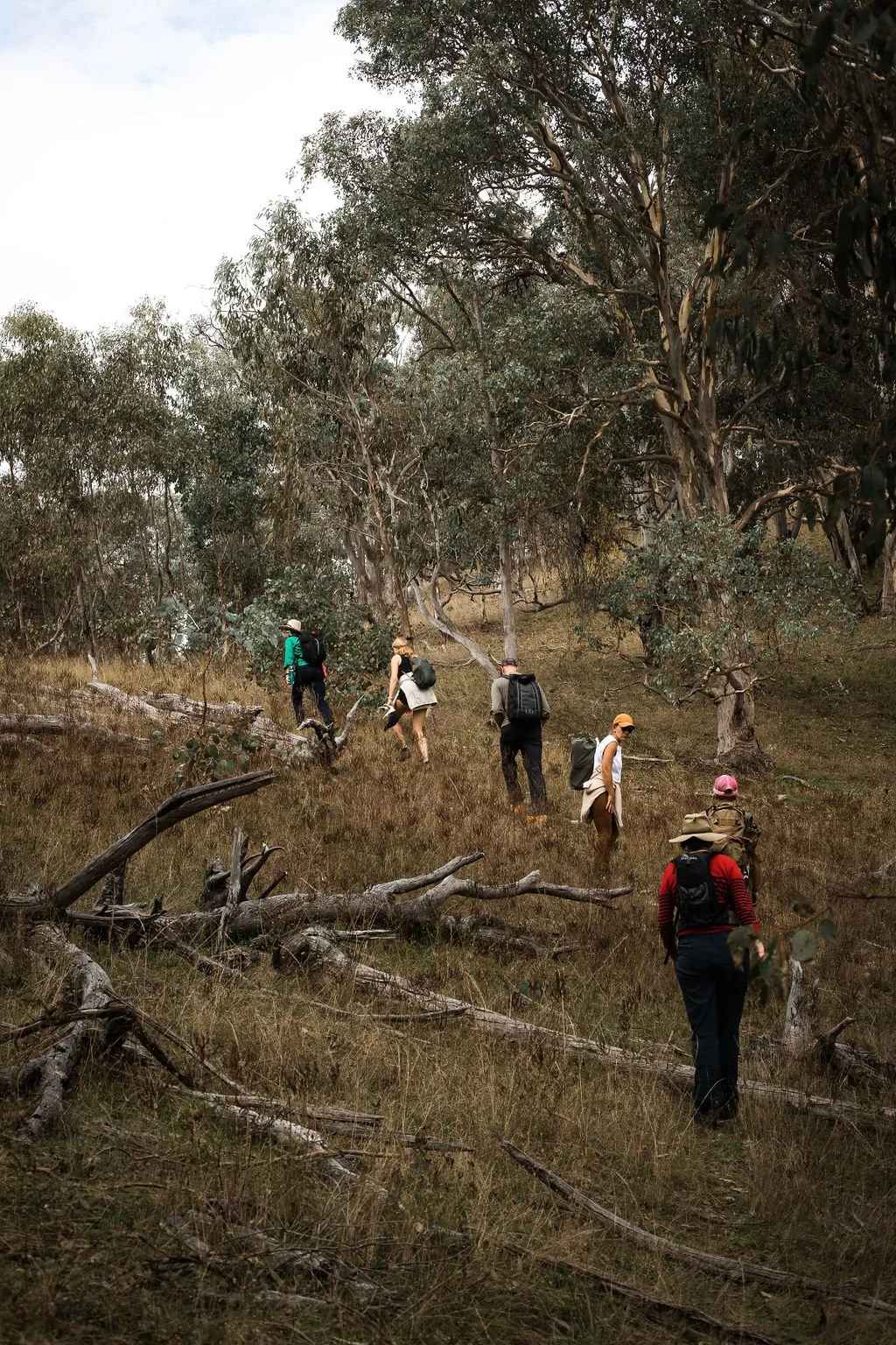 Rove Numby - Hosted Walking Weekends in Rural NSW — Stay in the Bush