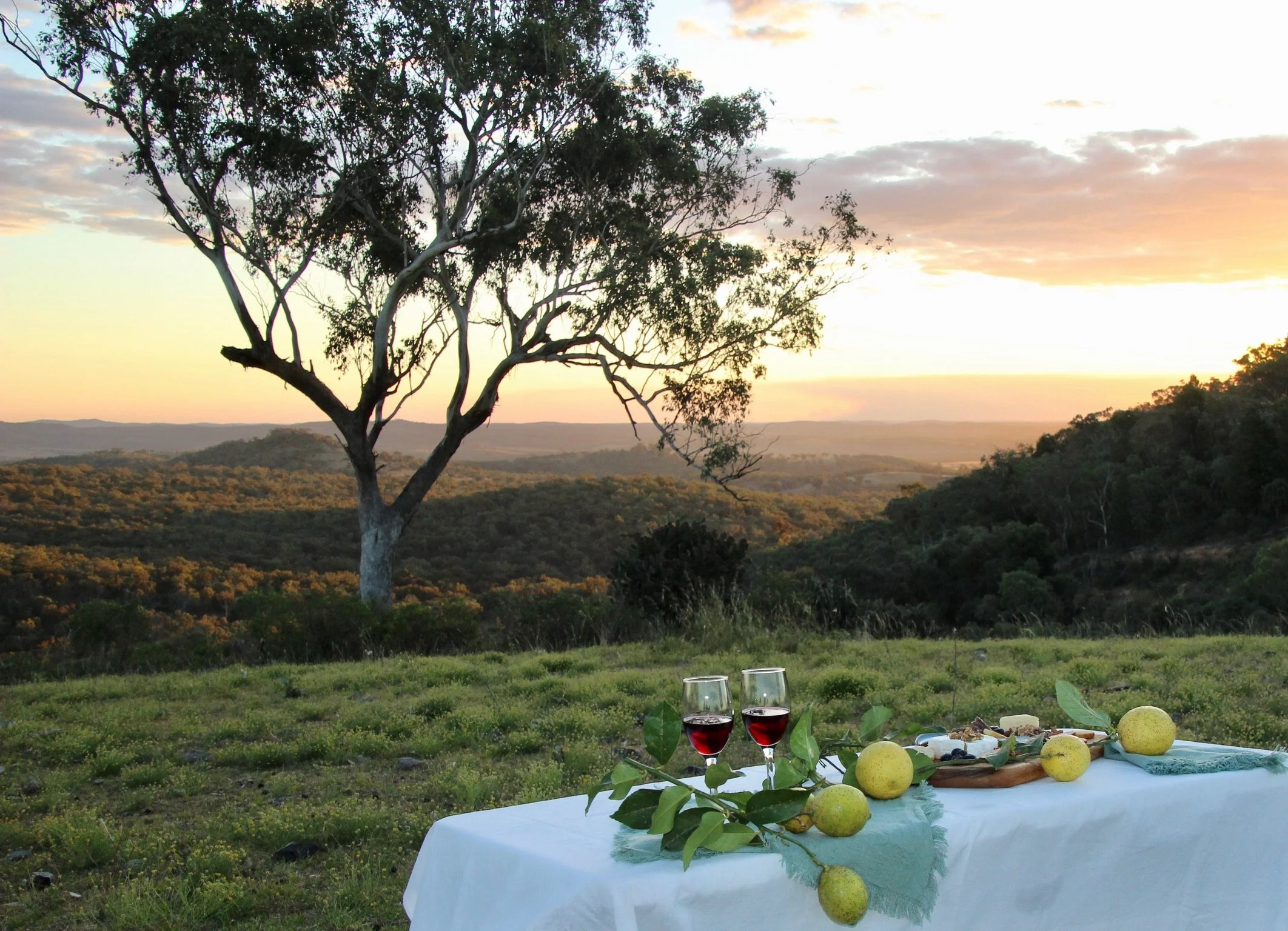 Wallaringa Farm (Wallaringa, NSW) — Stay in the Bush