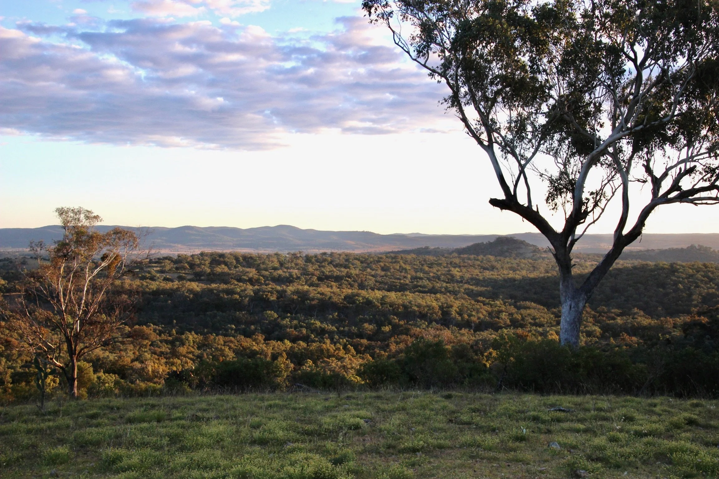 Wallaringa Farm (Wallaringa, NSW) — Stay in the Bush