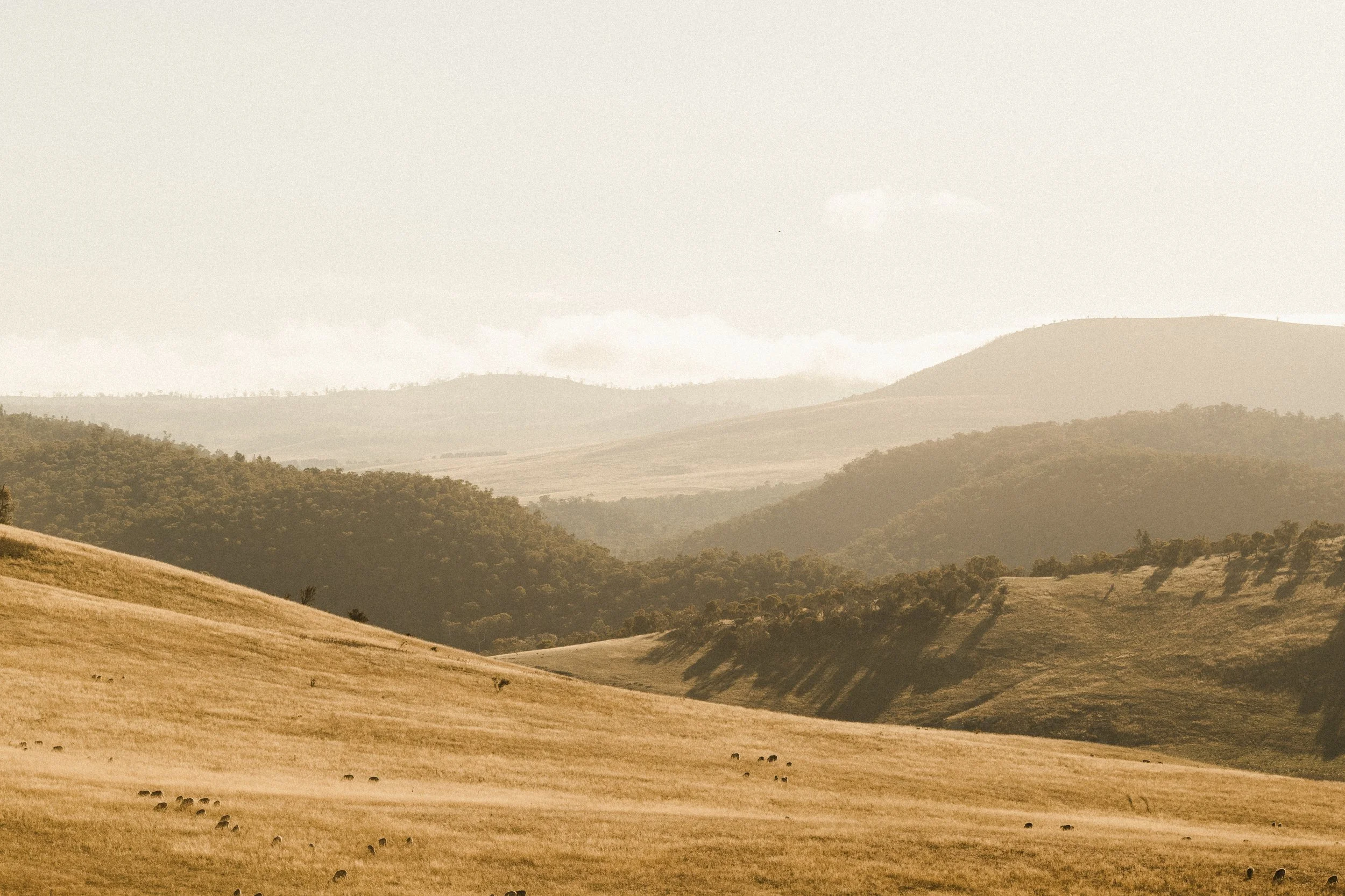 A Guide to Cooma, NSW: Where to Stay & Things to Do — Stay in the Bush