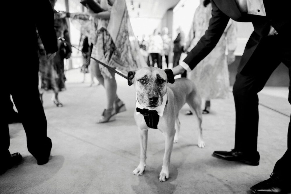 Perth State Theatre Wedding | Bree + Nige — Bertie Does