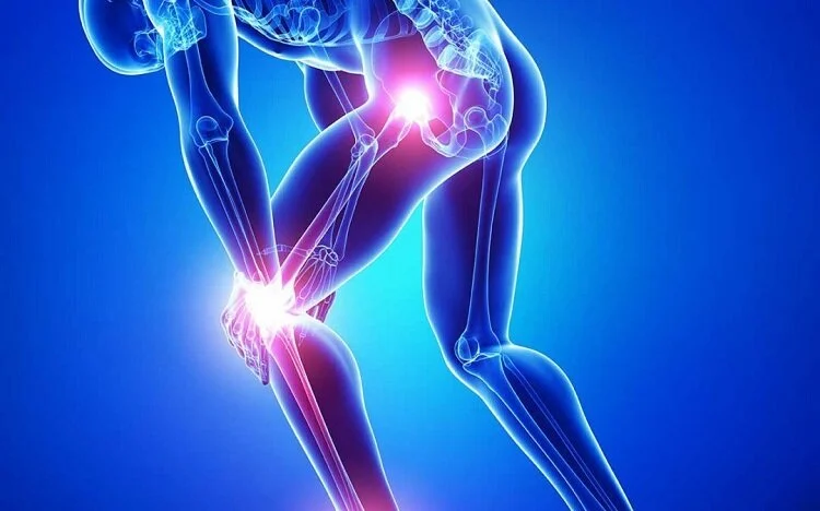 Knee pain , cartilage Build up, Osteoporosis, joint support ,Bone ...