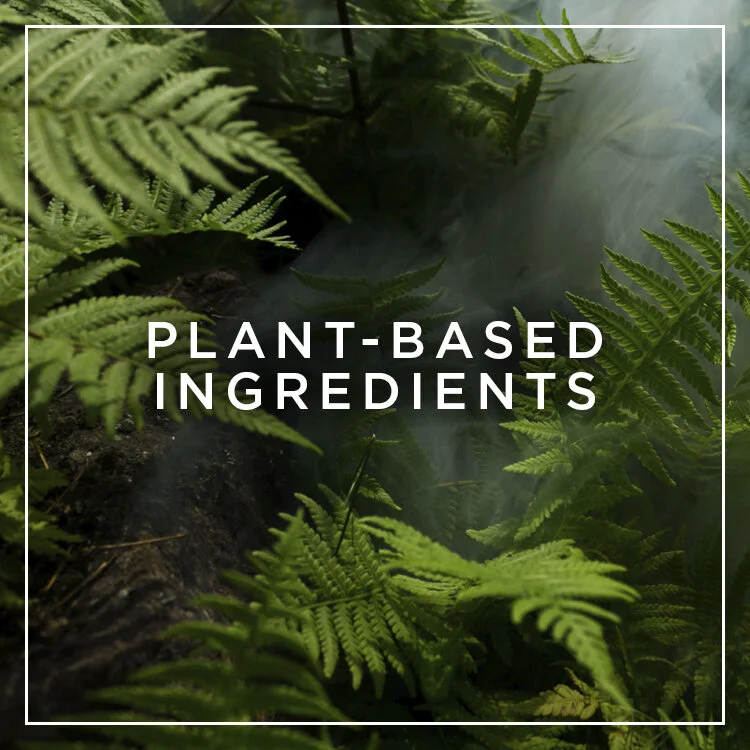 Mozzipatch™ Mosquito Patches