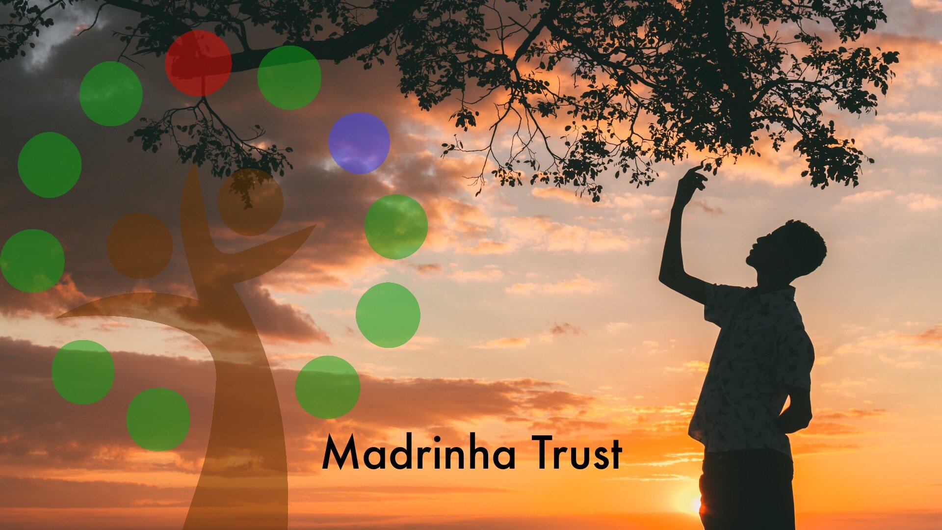 Overview — Madrinha Trust