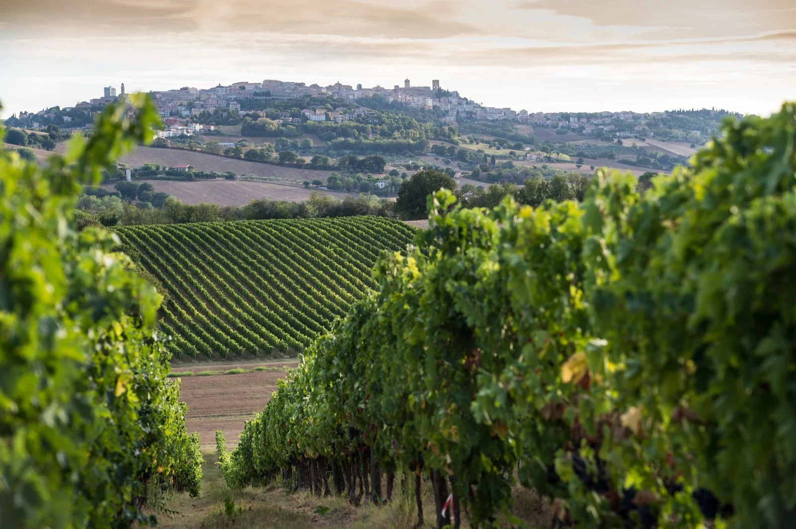 Le Marche - ‘All of Italy wrapped up in one region’ — Appassionata 2023 ...