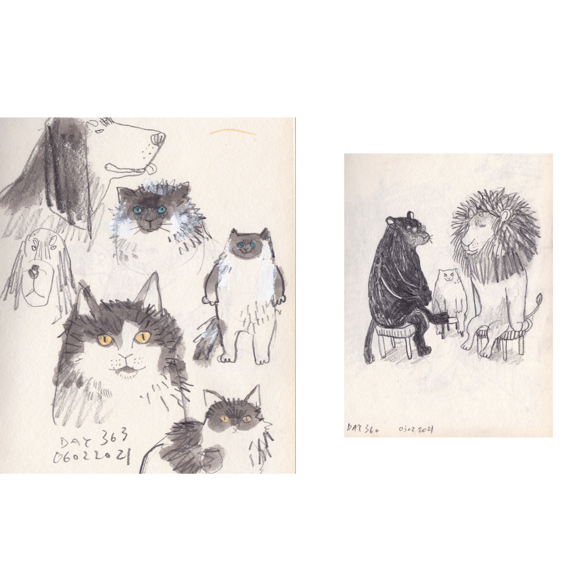 Shop — Dawning Crow