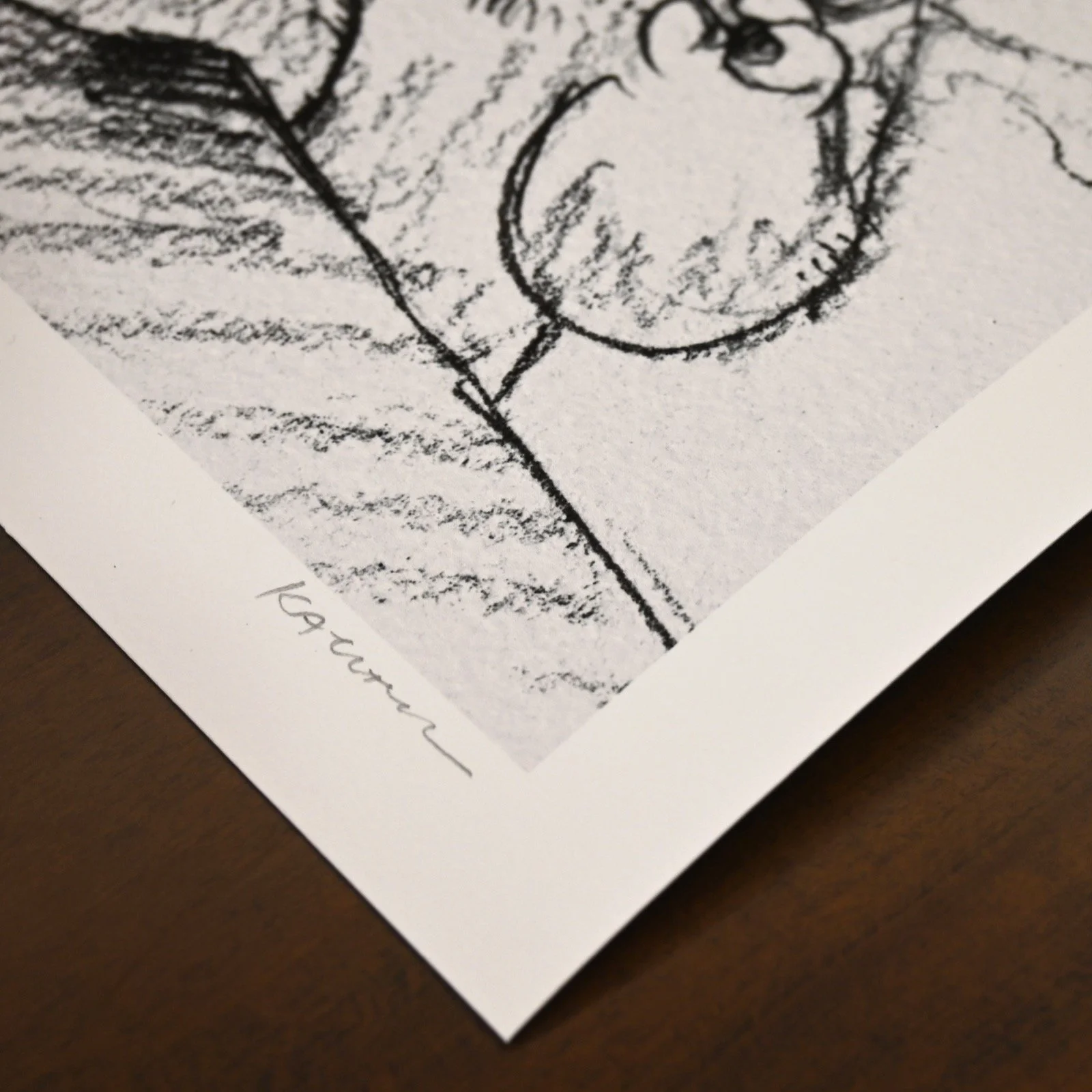 Shop — Dawning Crow