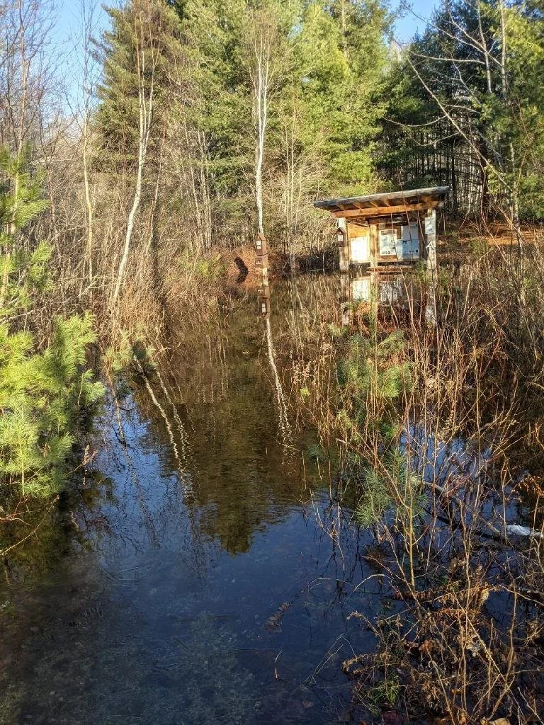 $5.2 million storm damage to Maine trails — Maine Trails Coalition