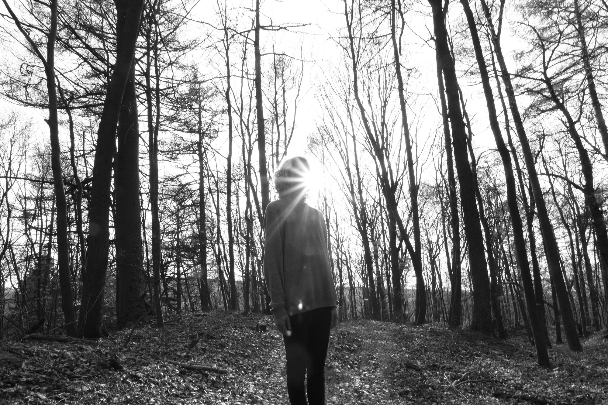 forest_dump — kaffeeundkippen magazin