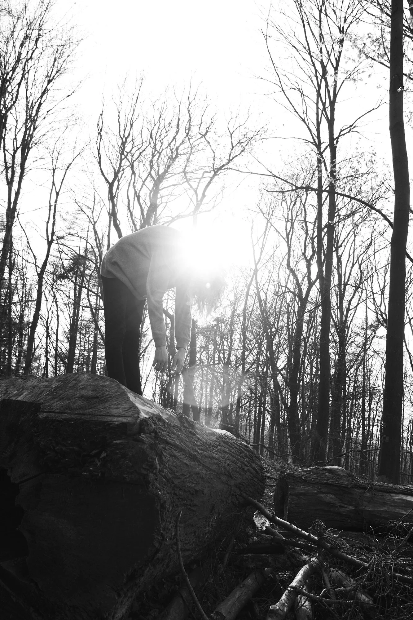 forest_dump — kaffeeundkippen magazin