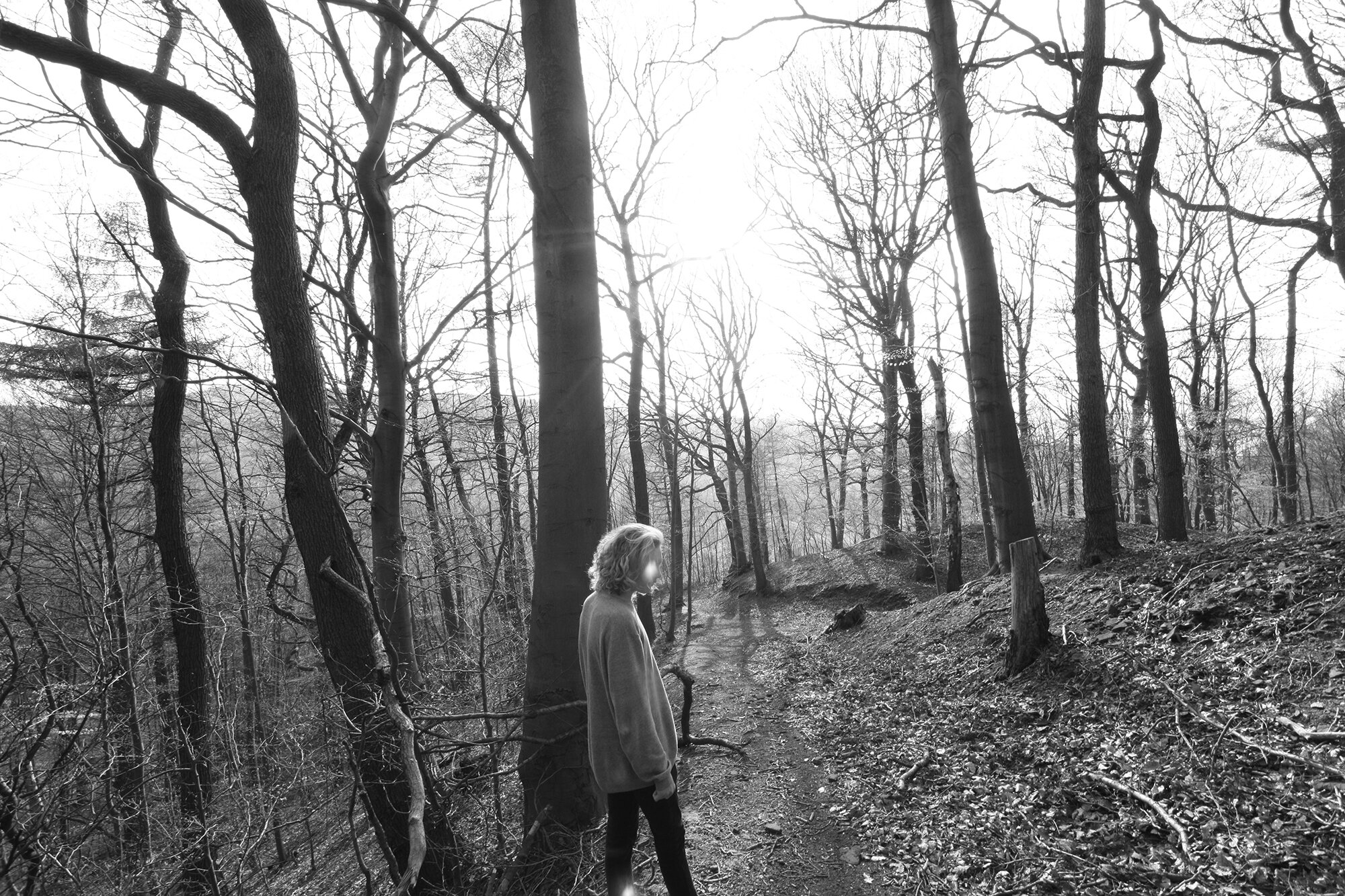 forest_dump — kaffeeundkippen magazin