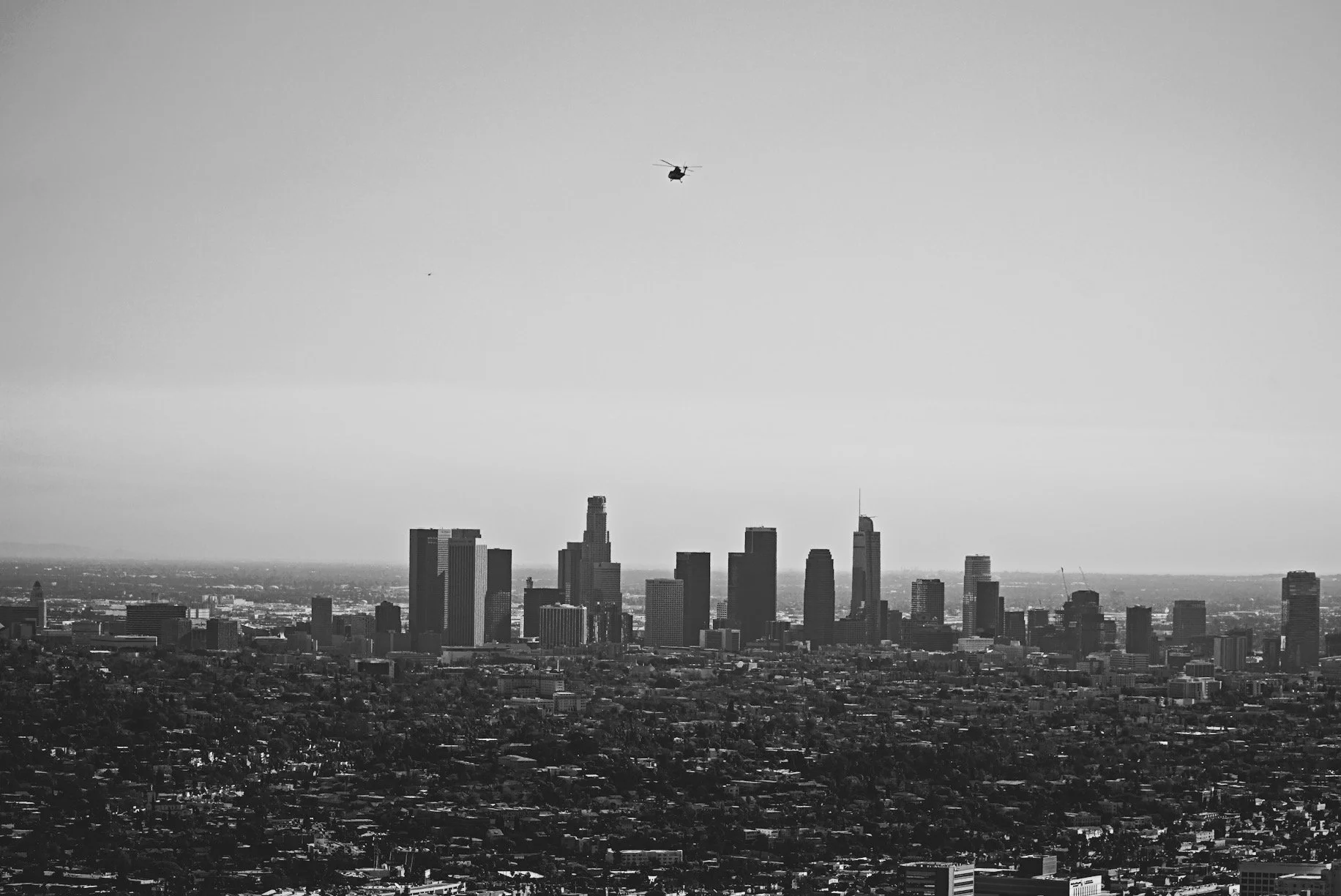 Drew Shaffer Studio - Page