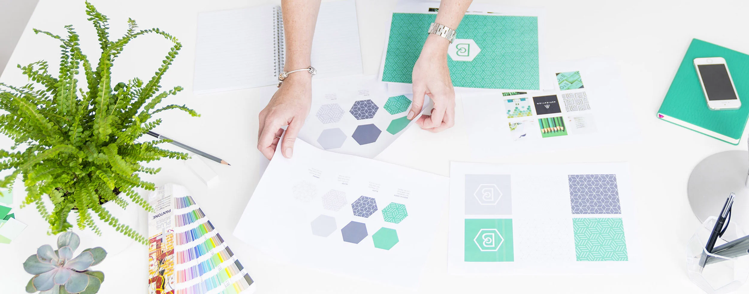 Brand & graphic designer | Logo design | Squarespace design — Beehive ...