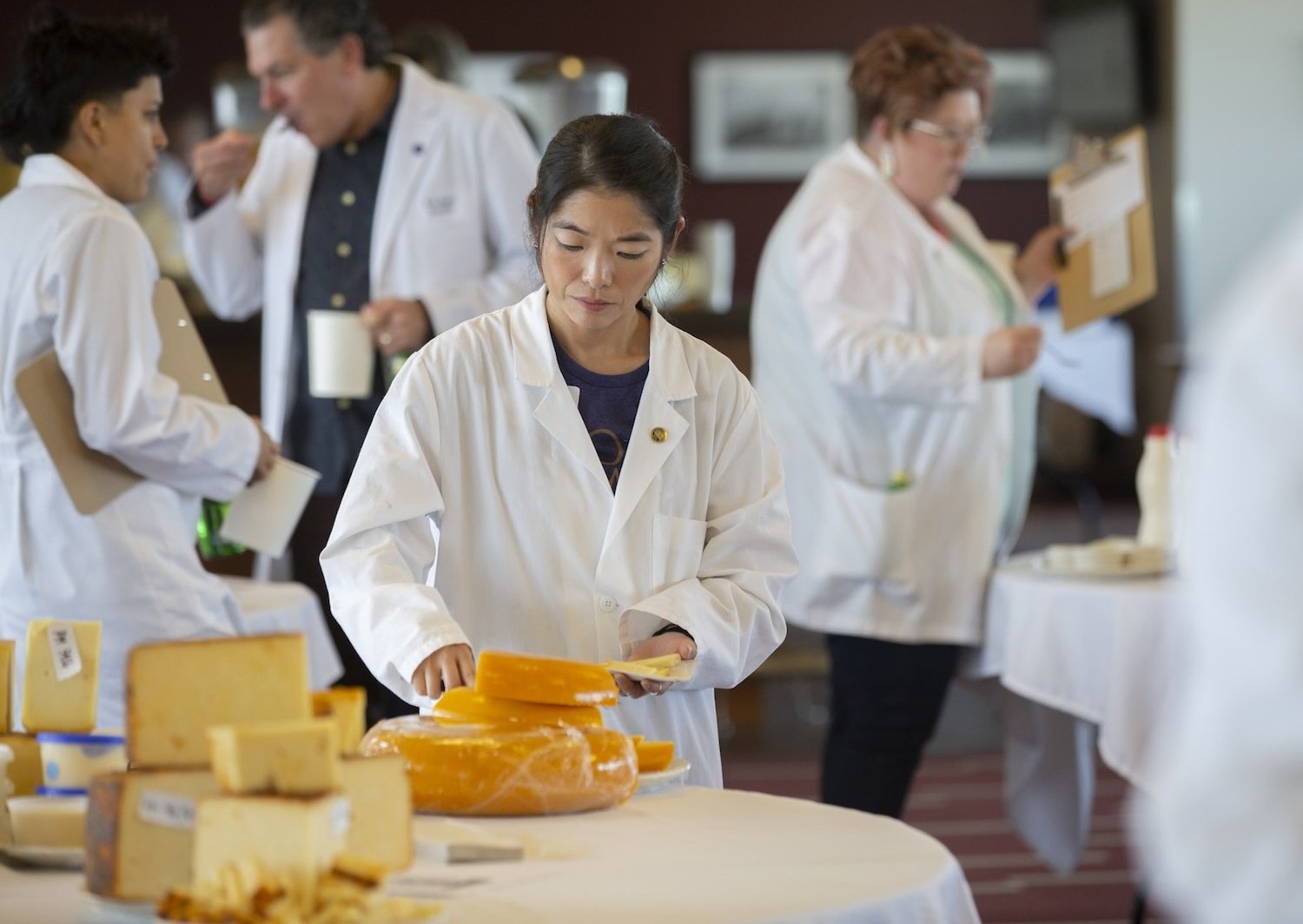 Canada Wins Big at American Cheese Society (2024) | The Cheese Professor