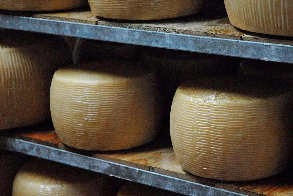Italy’s PDO Pecorino Cheeses | The Cheese Professor