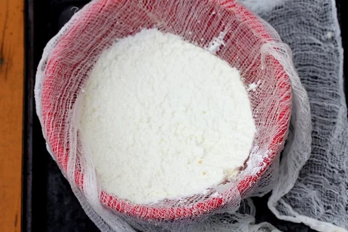 All about Paneer | The Cheese Professor