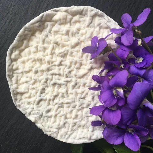 10 New Cheeses for the New Year | The Cheese Professor
