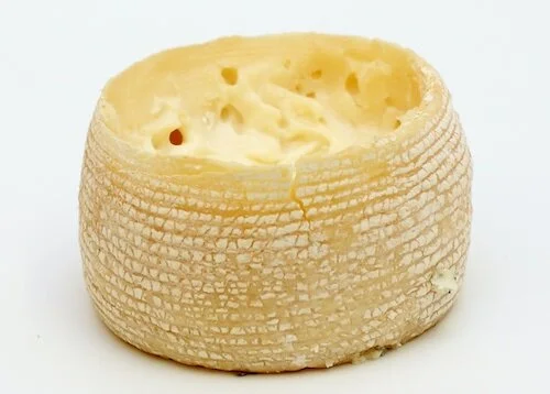 A Brief History of Cheesemaking with Thistle Rennet | The Cheese Professor